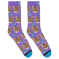 DivvyUp Socks | The Custom Sock Company